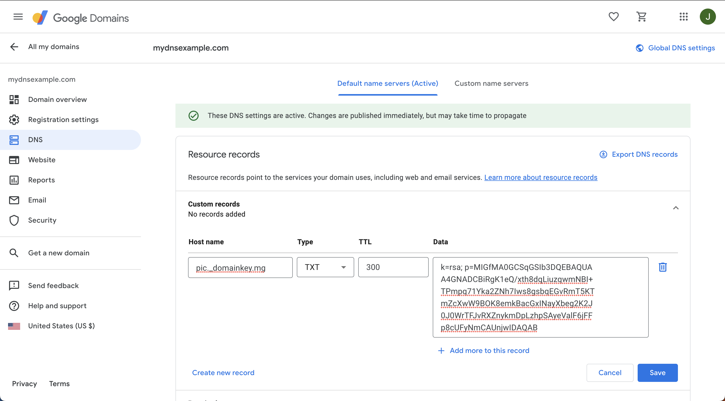 Google Domains DNS Setup Guide – Mailgun Help Center
