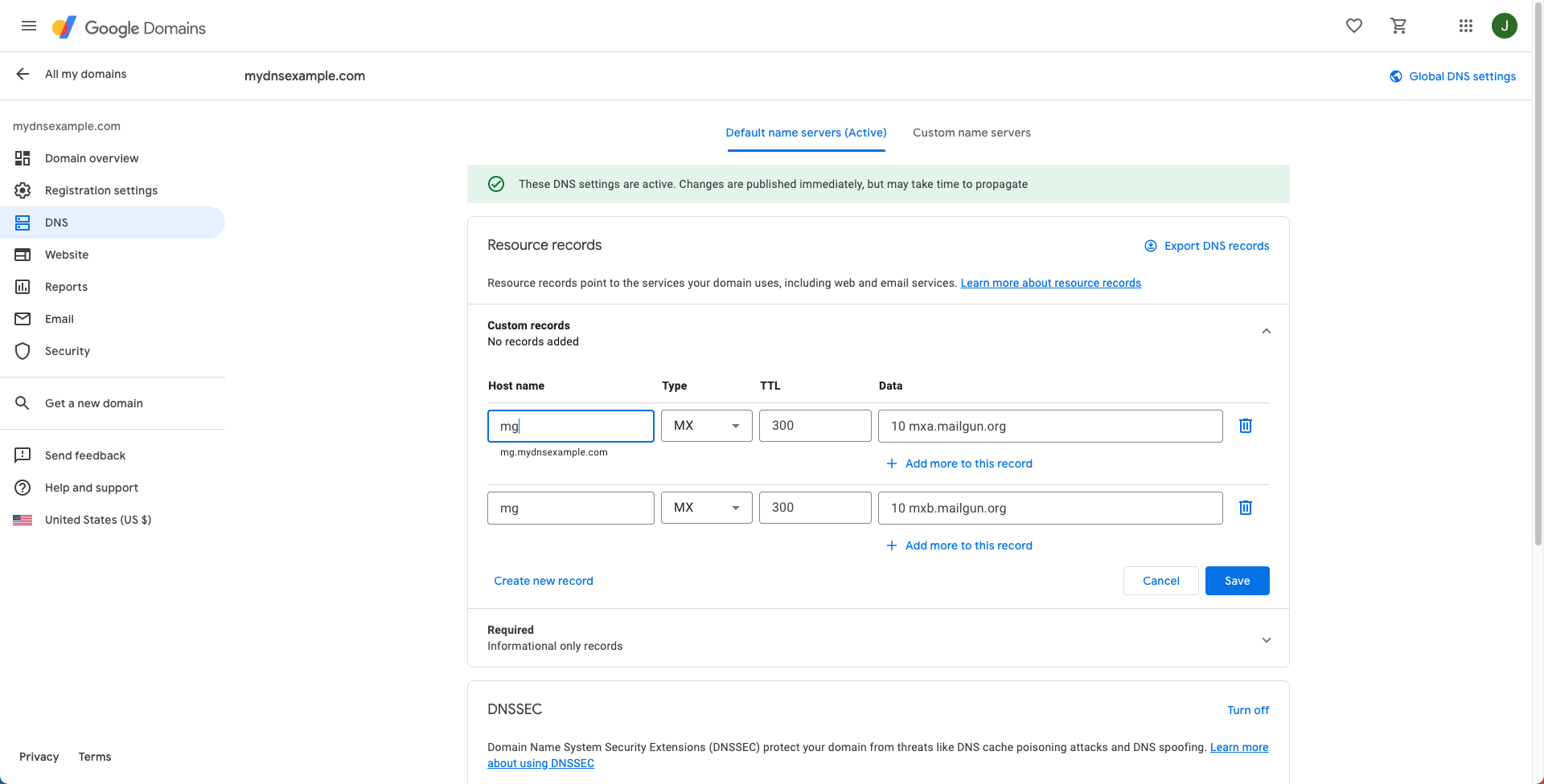 Google Domains DNS Setup Guide – Mailgun Help Center